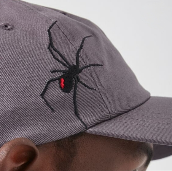 Forever 21 | Accessories | New Orig Packaging Spider Embroidered Cap ...